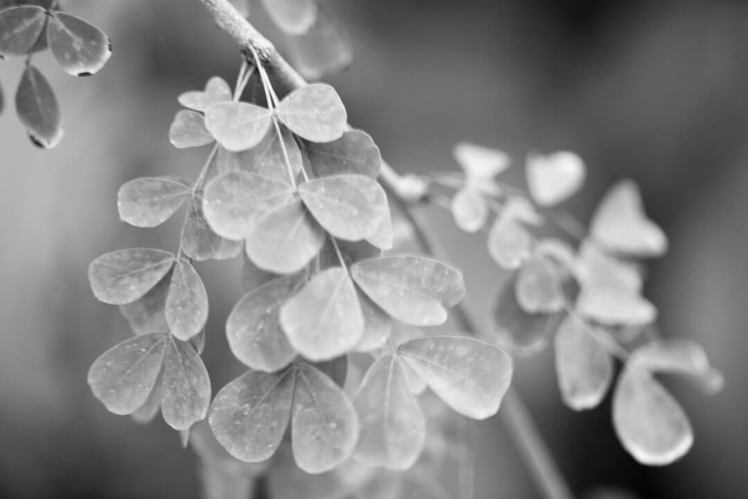 Cancerophobia or Carcinophobia, the Fear of Cancer – Hypnosis Berlin ...