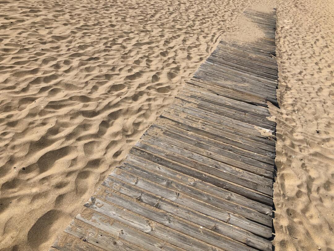 Shy Bladder (Paruresis): Causes and Treatments. Therapy in Berlin