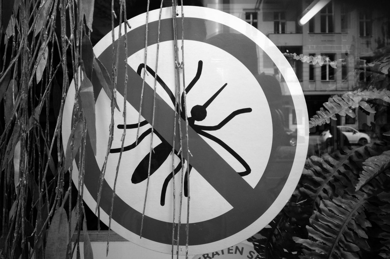 Help with entomophobia, the fear of insects: Causes and therapy ...